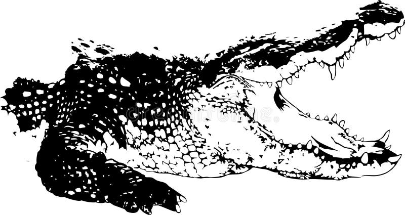 Zentangle Stylized Crocodile (alligator) Stock Vector - Illustration of ...