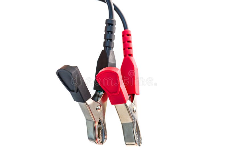 Crocodile alligator clip stock photo. Image of wire - 284339068