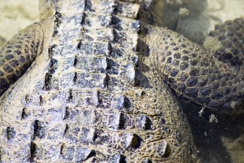 Seth Johnson (8373seth) - Photographer profile