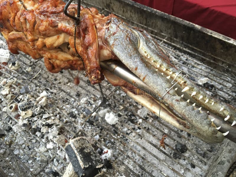 Grilled Crocodile Meat Burger Isolated On A White Studio Backgr Stock ...