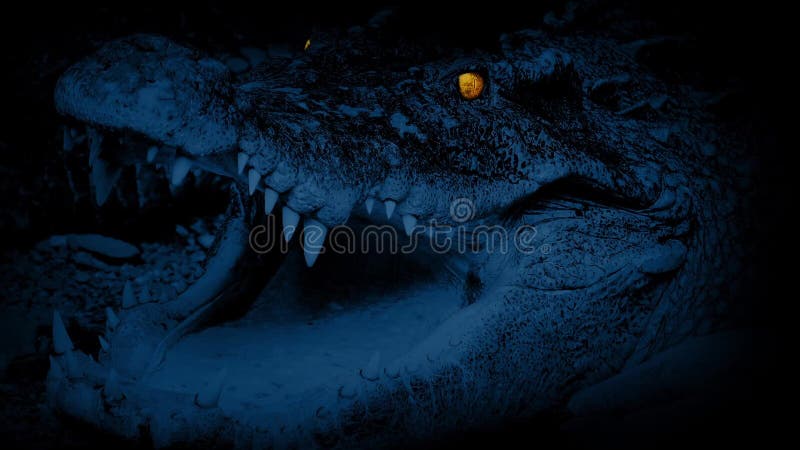 Lizard with Glowing Eyes in Cave at Night Stock Footage - Video of ...