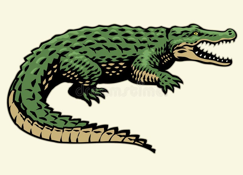 Crocodile in Hand Drawn Vintage Style Stock Vector - Illustration of ...