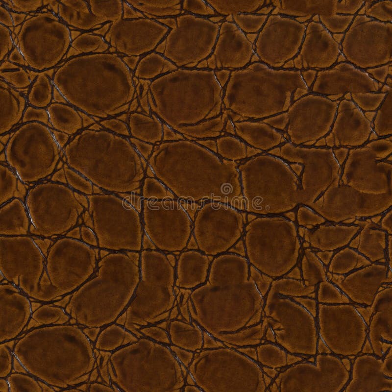 Wild Crocodile Leather Texture. Seamless Square Background, Tile Ready ...