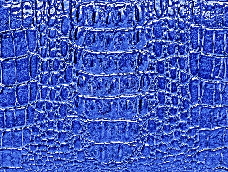 Crocodile Leather Texture Background Stock Photo - Image of fauna ...