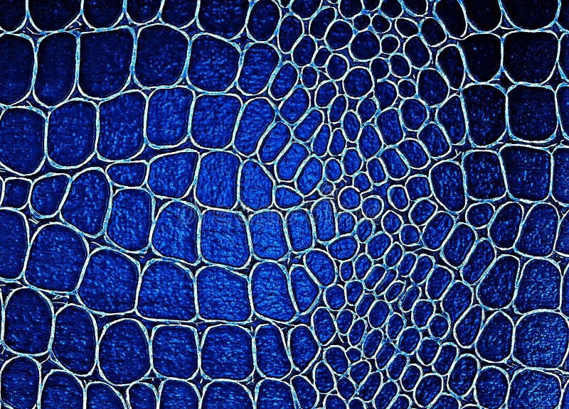 728 Blue Crocodile Skin Leather Texture Background Stock Photos - Free ...