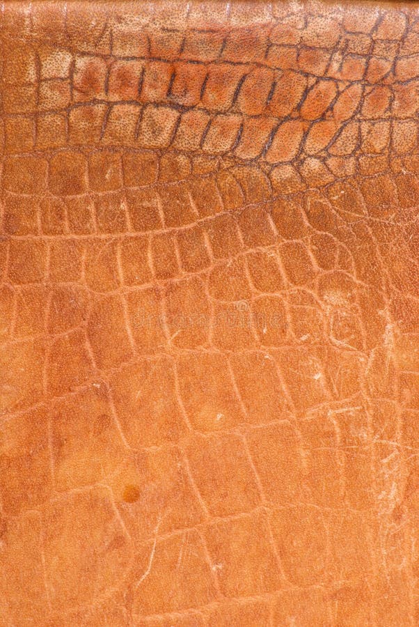 Crocodile leather stock image. Image of retro, lines - 30507735