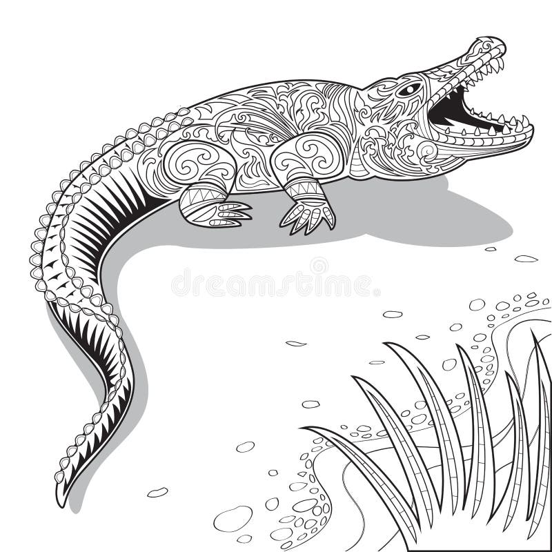 Crocodile line art stock vector. Illustration of design - 91250429