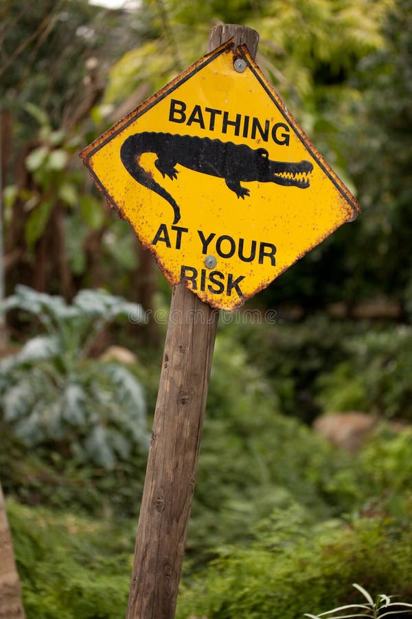 Crocodile sign stock image. Image of crocodile, info - 15397545