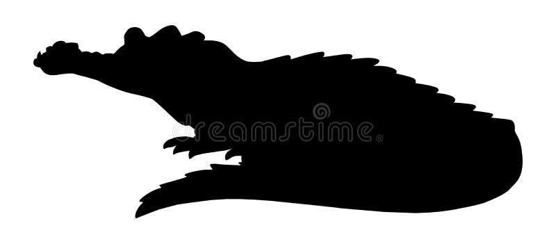 Crocodile Silhouette on White. Isolated Vector Animal, Alligator Stock ... Crocodile Silhouette on White. Isolated Vector Animal, Alligator Stock ...