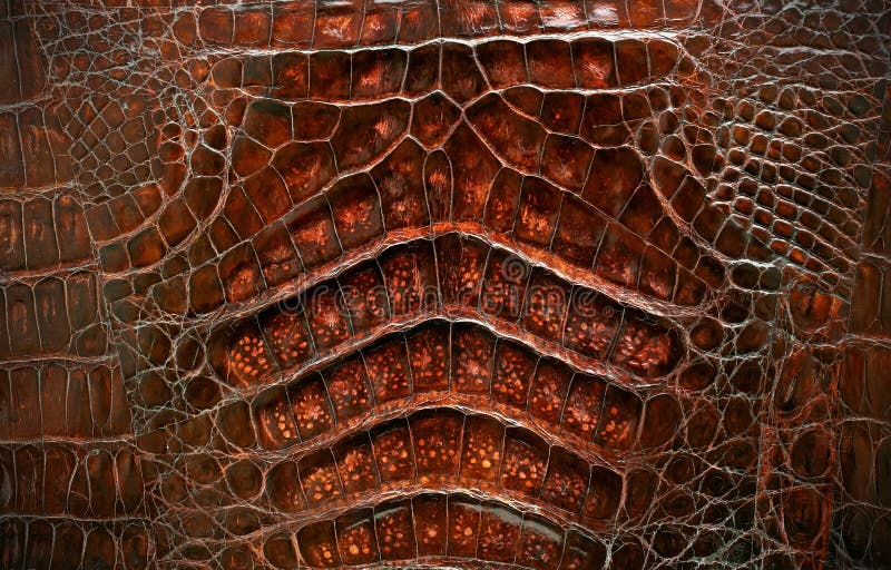Red crocodile skin texture stock image. Image of artificial - 32781515