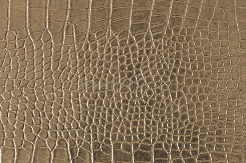 1,144 Crocodile Skin Seamless Pattern Stock Photos - Free & Royalty ...