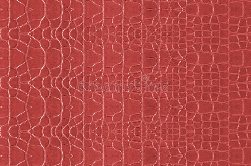 Crocodile Skin stock photo. Image of crocodile, texture - 27410080