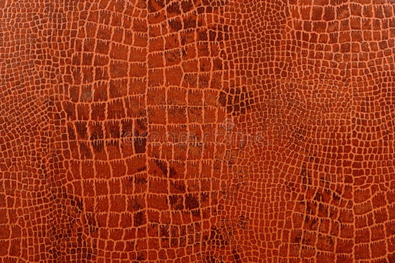 Crocodile Skin Background With Pattern Texture Stock Photo - Image: 6987600