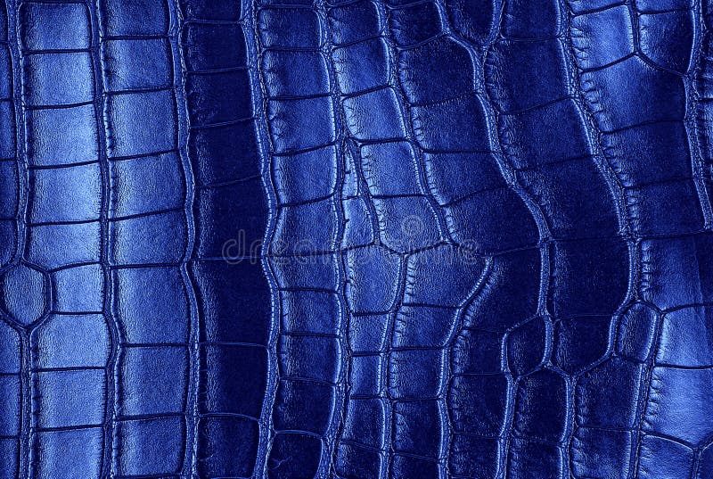 797 Blue Crocodile Skin Texture Stock Photos - Free & Royalty-Free ...