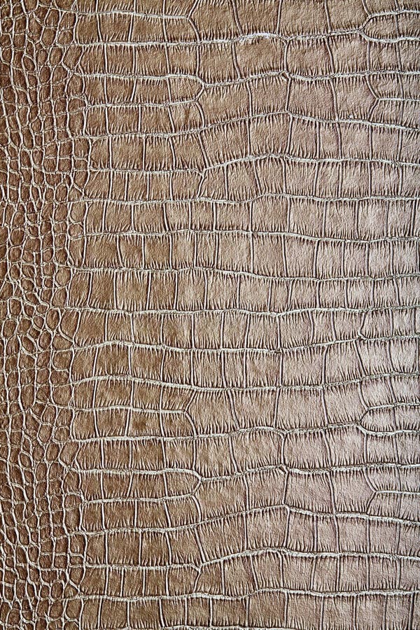 Crocodile Skin Leather Pattern Brown Stock Photo - Image of material ...