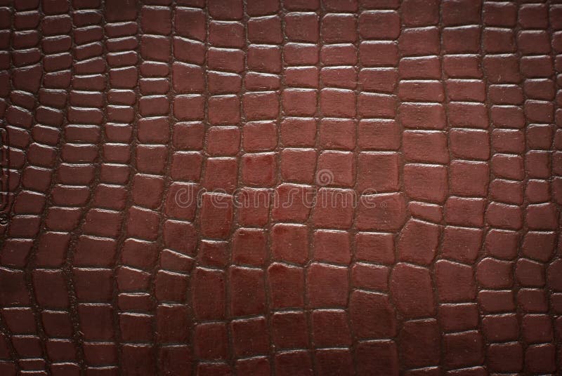 91+ Crocodile skin pattern Free Stock Photos - StockFreeImages