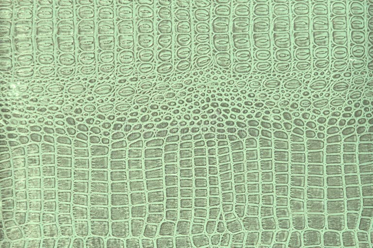 7,561 Lizard Skin Pattern Stock Photos - Free & Royalty-Free Stock ...