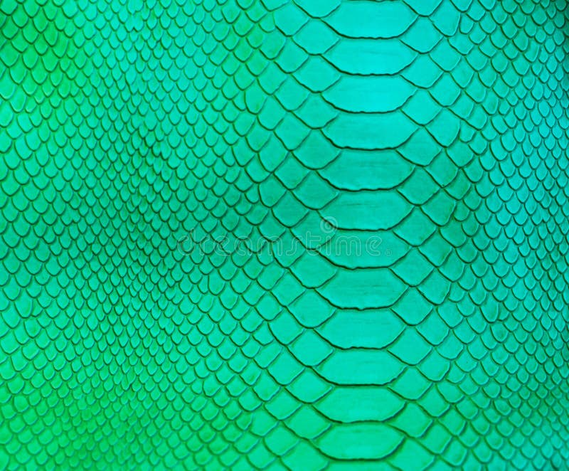 Human Eye with Lizard Skin Texture - Mutation Concept Stock Photo ...