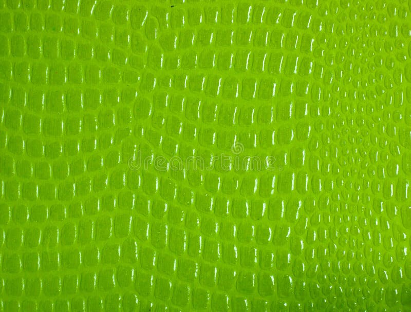 1,144 Crocodile Skin Seamless Pattern Stock Photos - Free & Royalty ...