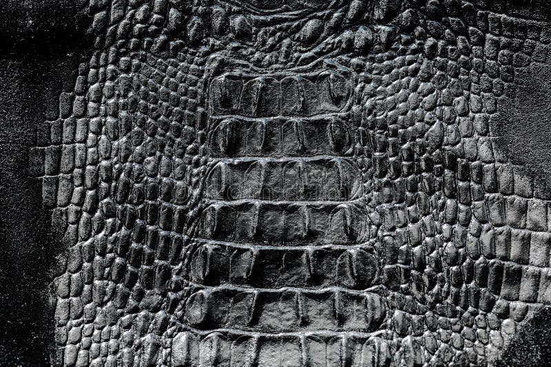Crocodile Skin Pattern Texture. Print Crocodile Texture Leather, Dark ...