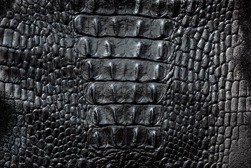 Crocodile Skin Background With Pattern Texture Stock Photo - Image of ...