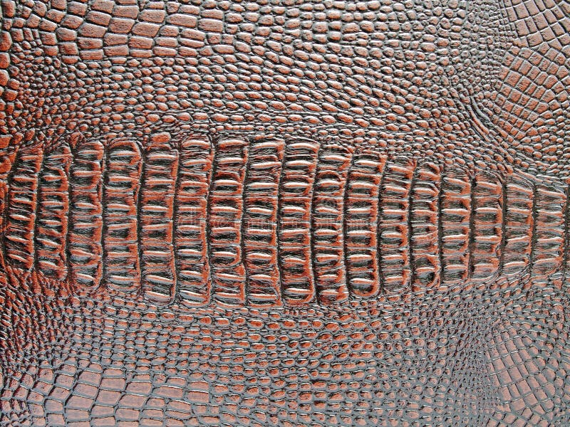 Crocodile skin texture stock image. Image of pattern - 29448791