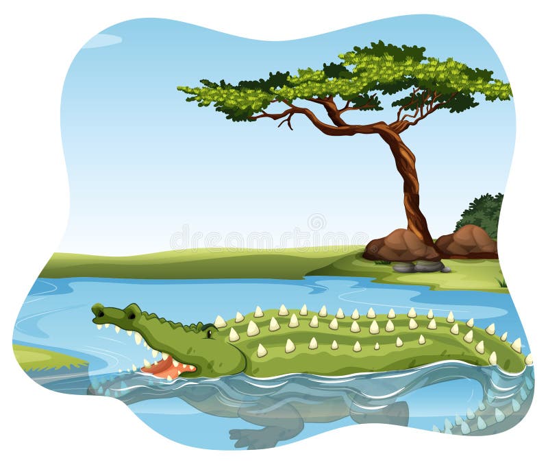 Cartoon Crocodile Swimming Stock Illustrations – 239 Cartoon Crocodile ...