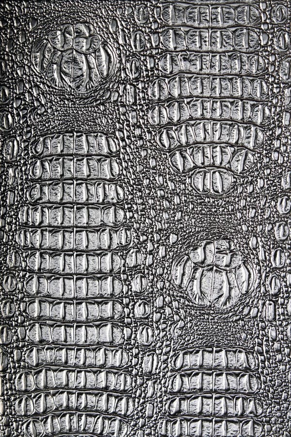 Crocodile texture stock image. Image of pattern, reflection - 20206915