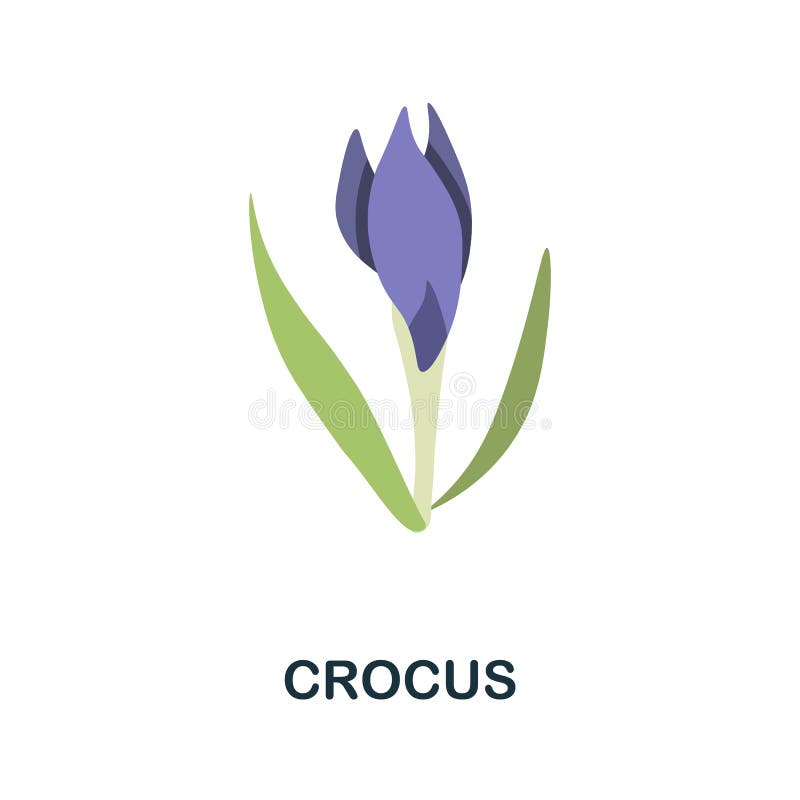 Crocus Flat Icon. Colored Element Sign from Flowers Collection. Flat ...
