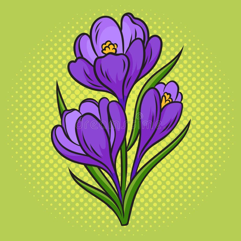 Crocus Flower Pop Art Raster Illustration Stock Illustration ...
