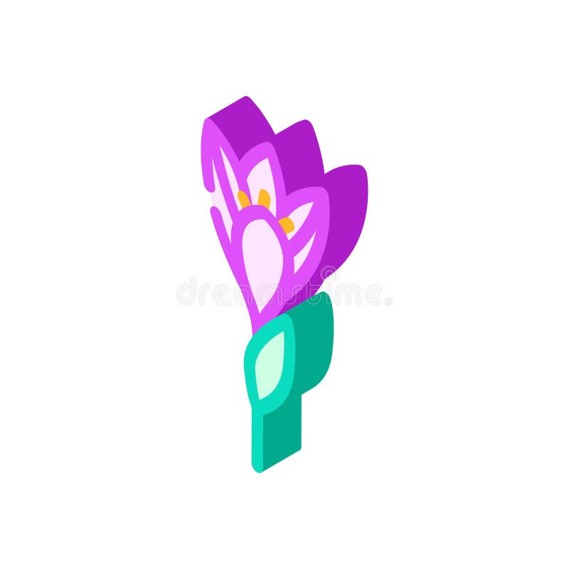 Crocus Flower Spring Isometric Icon Vector Illustration Stock Vector ...