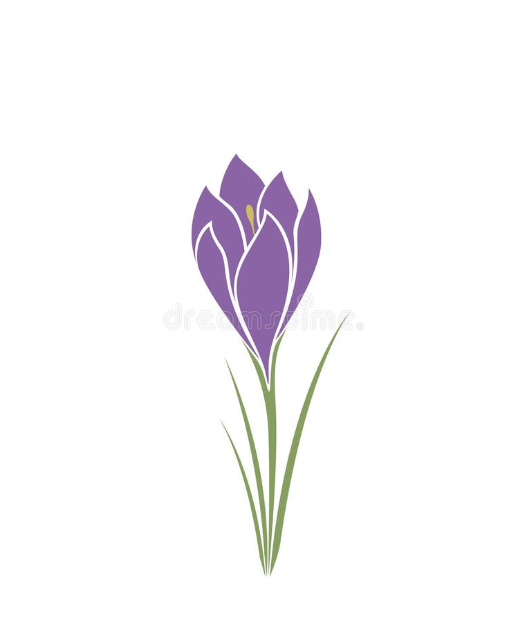 Crocus Flower Vector Image. Spring Floral Element for Design Stock ...