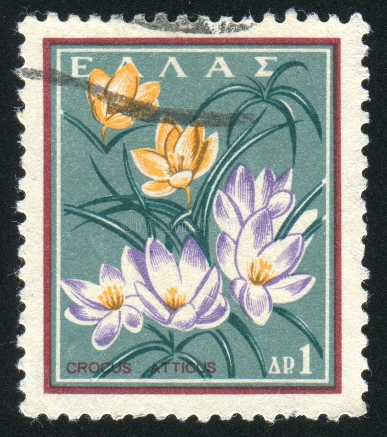 Crocus editorial stock photo. Image of philately, bulbous - 237429808