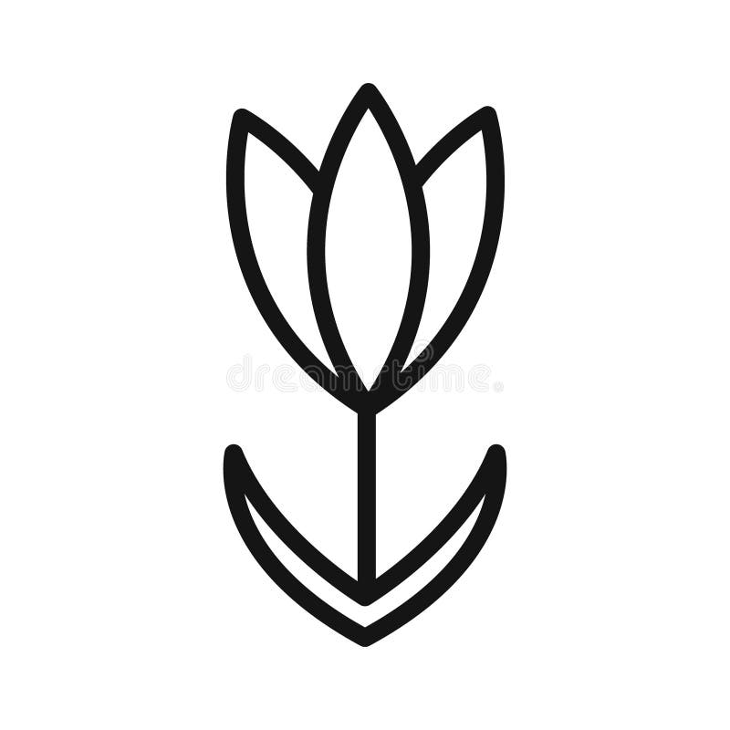 Crocus Icon Black Line Art Vector Logo Set Stock Illustration ...