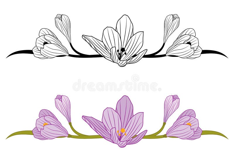 Crocus set stock vector. Illustration of design, grunge - 48545462