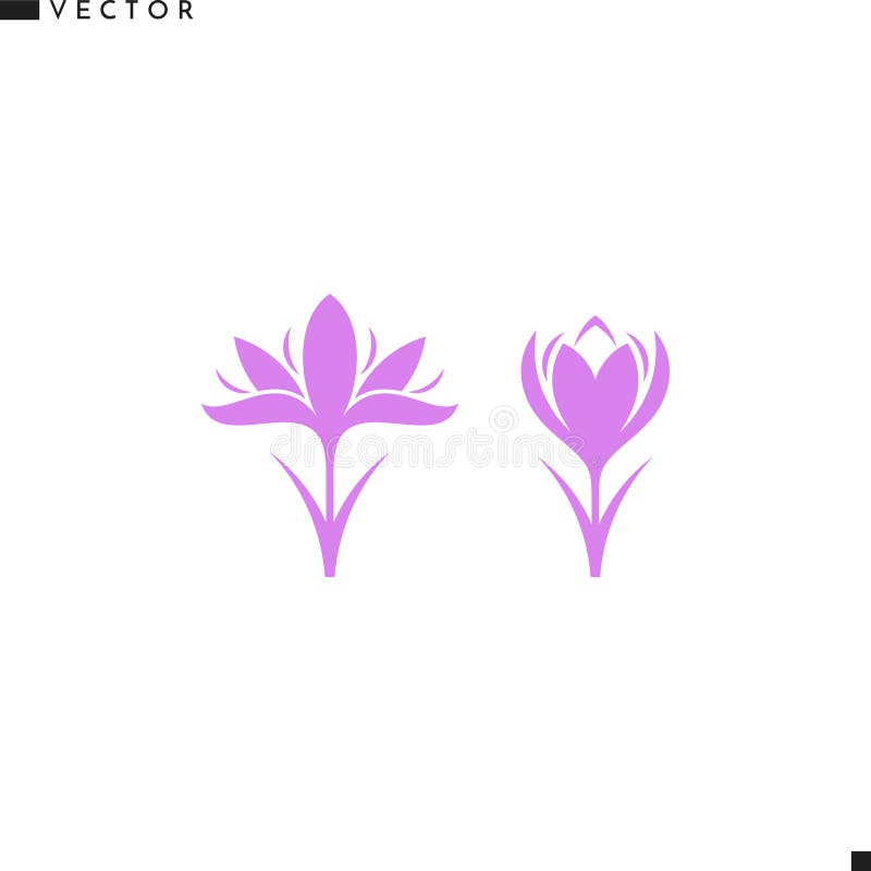 Crocus. Purple Flower Vector Icon. Abstract Flower Logo. Vector ...
