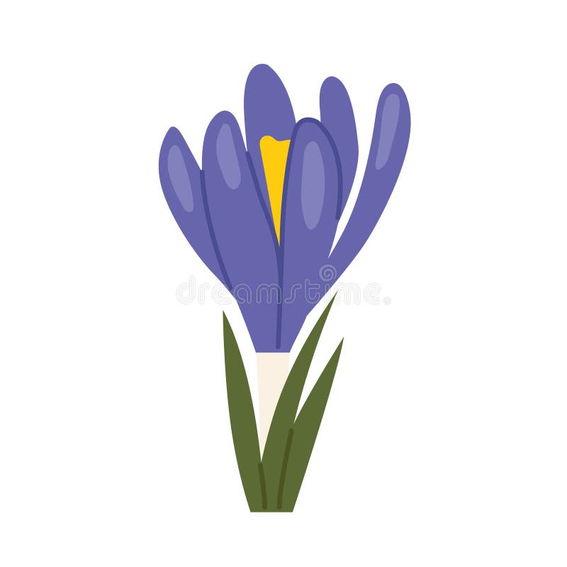 Crocus spring flower icon stock vector. Illustration of crocus - 369309613