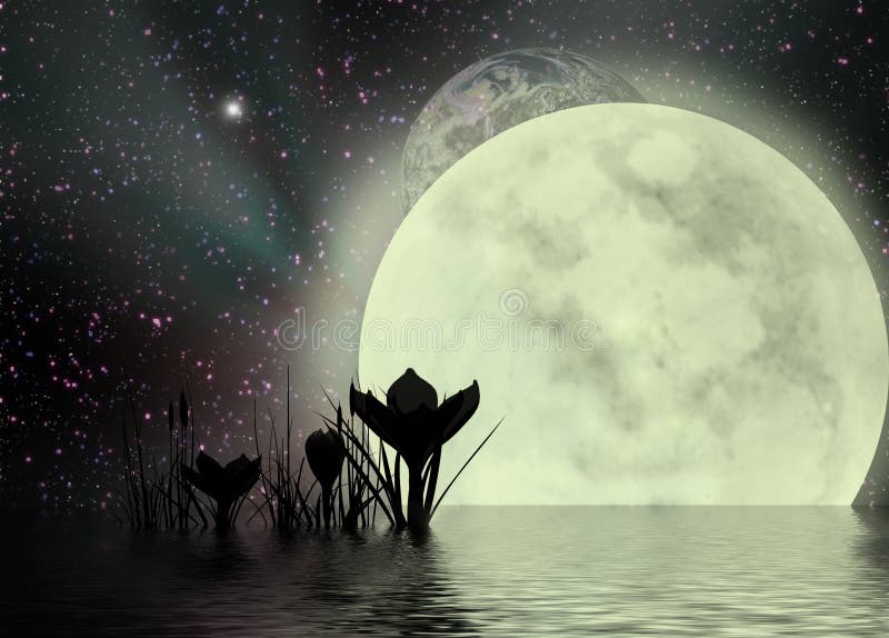 Crocus & Surreal Moonscape Stock Image - Image of calm, design: 8993255