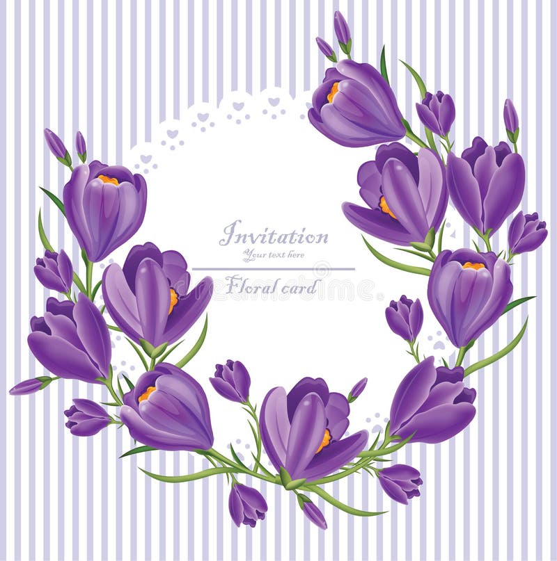 Crocus Flowers Background Vector Watercolor. Botanical Floral Banner ...