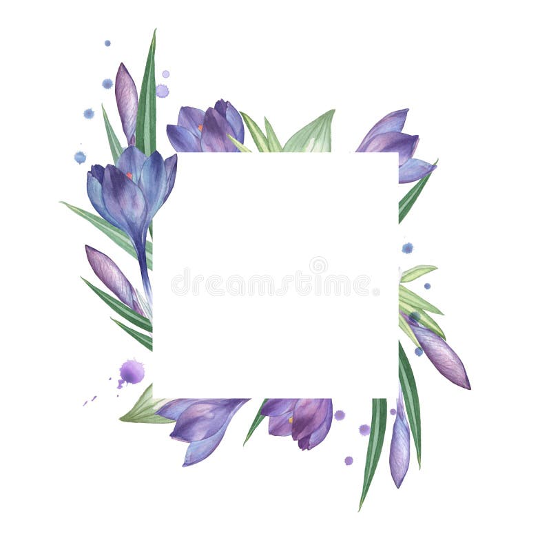 Crocus Border Stock Illustrations – 1,140 Crocus Border Stock ...