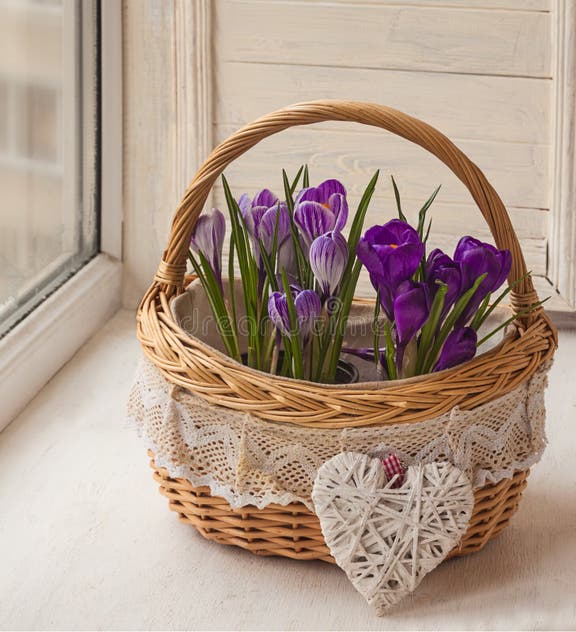 Crocuses in a Basket on the Window Stock Image - Image of fresh, flora ...
