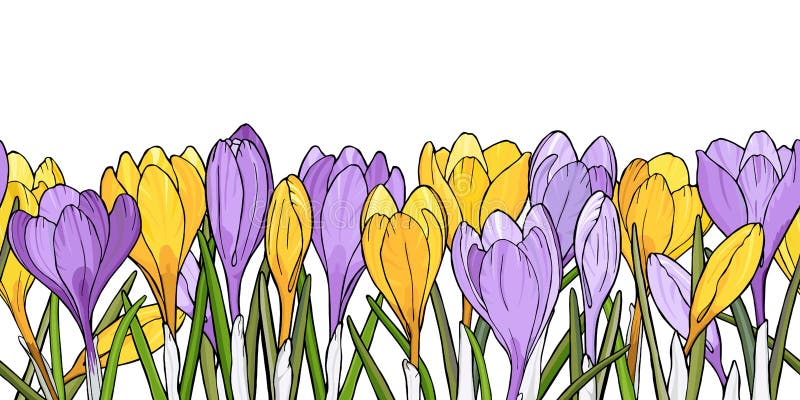 Flower border stock vector. Illustration of retro, nature - 53338693