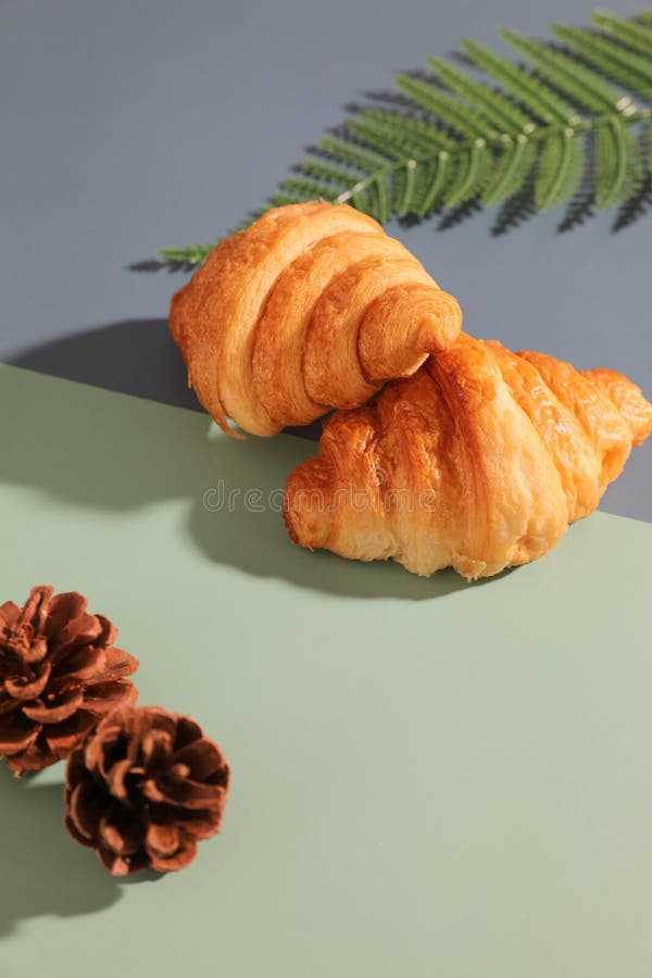Croissant Isolated in Sunny Light Stock Image - Image of lifestyle ...
