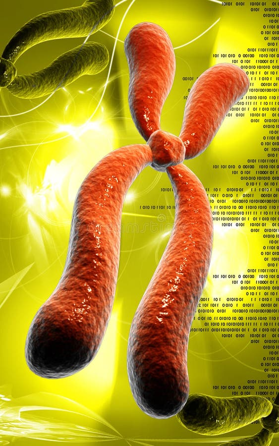 Cromosoma stock de ilustración. Ilustración de ciencia - 36936426