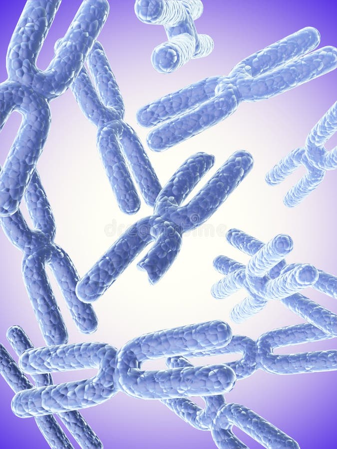 Dois cromossoma X e Y ilustração stock. Ilustração de pilha - 94731756