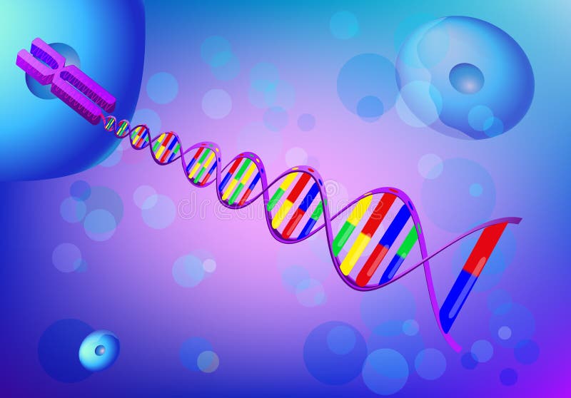 Cromossoma E ADN. Fundo Do Vetor Ilustração do Vetor - Ilustração de ...