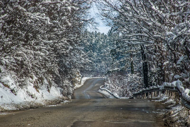 Crooked road stock photo. Image of crooked, filled, forest - 84127548