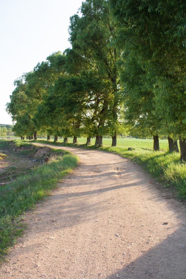 Crooked Rural Road stock photo. Image of freshness, nature - 41714024