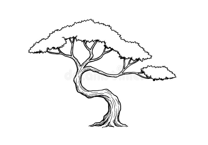 Crooked tree drawing stock vector. Illustration of vector - 388984324