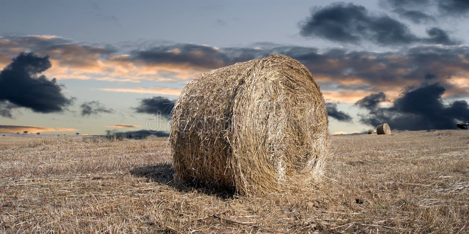 Man Rolled Up in Farming Hay Bale Accident Stuck between a Rock and a ...
